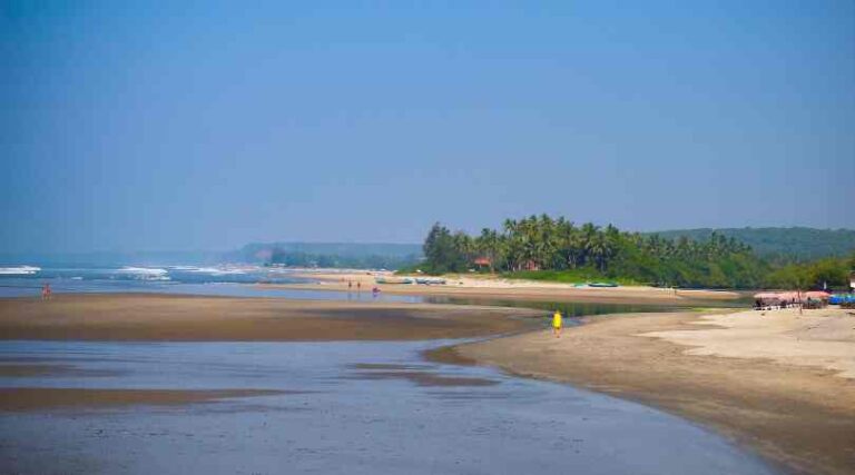 19 Best Beaches in Goa For A Exciting Vacation