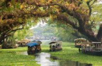 Perfect Coorg Itinerary For 3 Days - 72 Hours In Coorg | Travel Character
