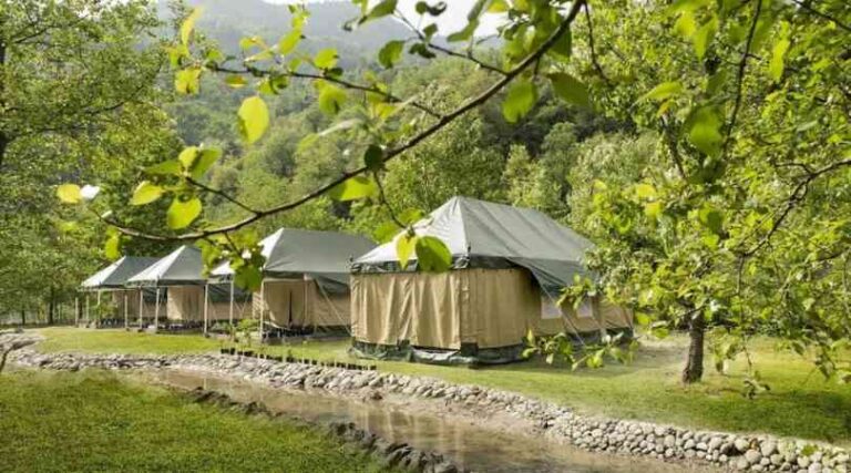 45+ Best Hotels In Manali For A Memorable Time | Travel Character